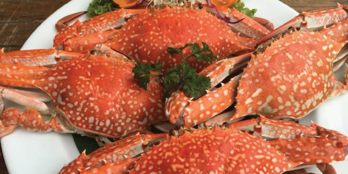 View Mare Beach Front Bar & Restaurant Deals | The Travel Insider